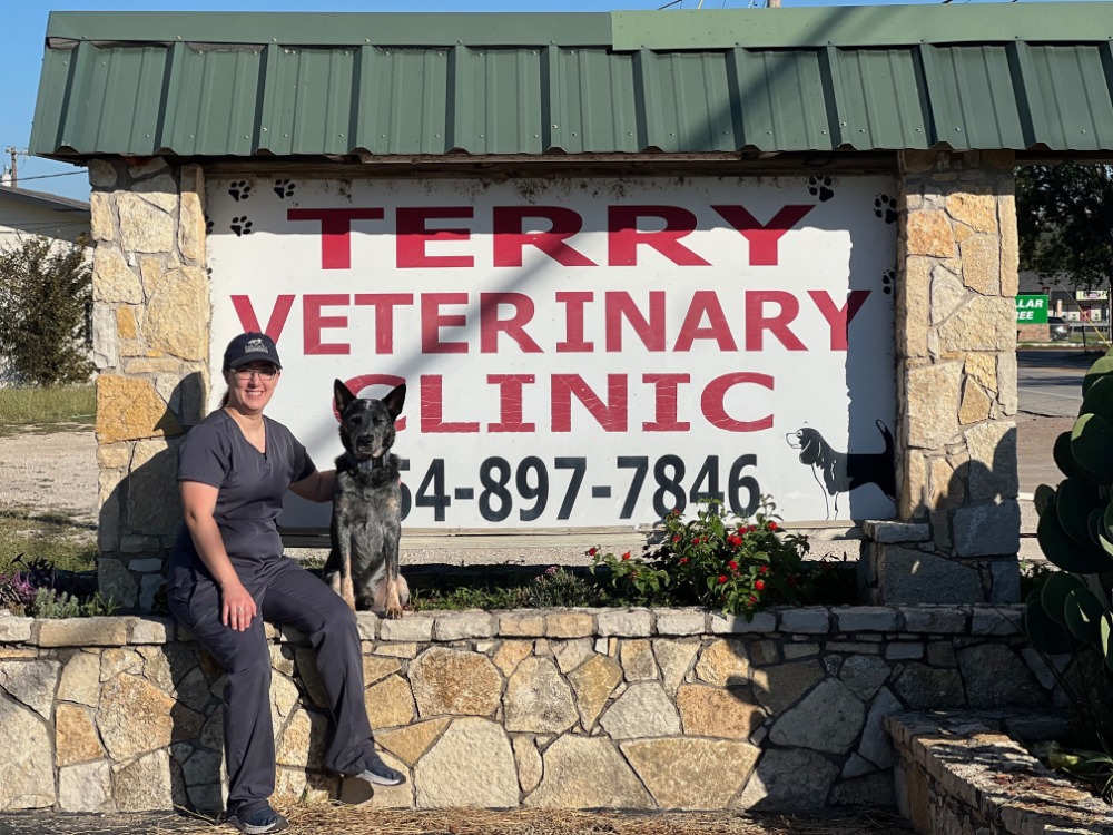 Morgan - Terry Veterinary Clinic